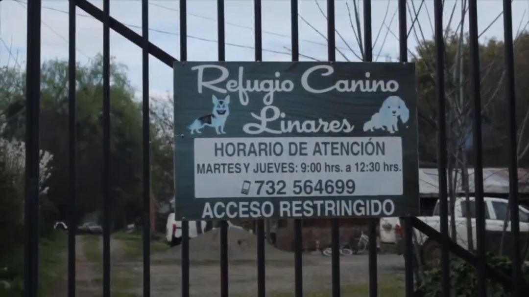 Linares: Tenso debate entre concejal Marco Ávila y alcalde por petición ... Linares: Tenso debate entre concejal Marco Ávila y alcalde por petición ...