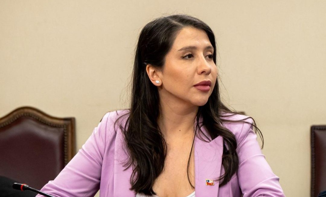 Diputada Consuelo Veloso destaca importantes avances legislativos en la ...